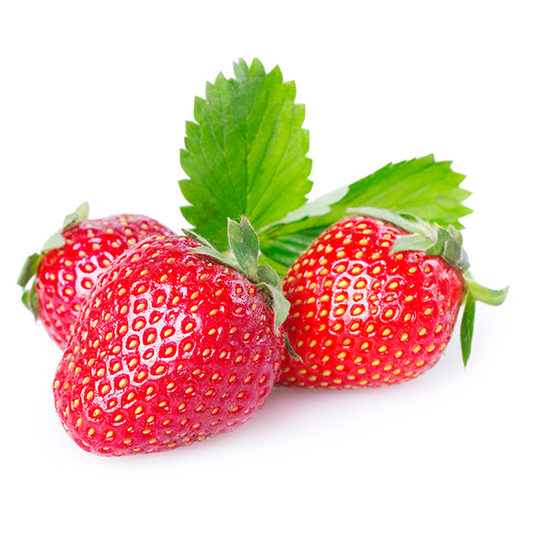 Fraise Charlotte - Comptoirprimeur