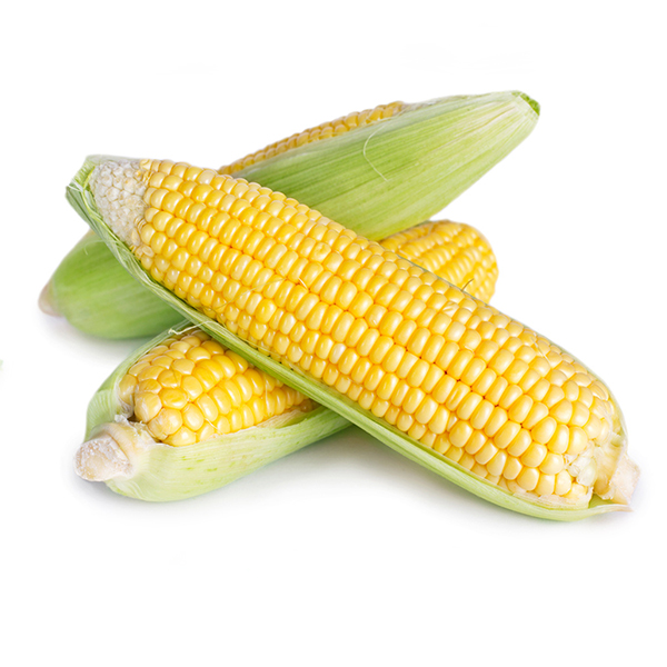 Mais - Comptoirprimeur