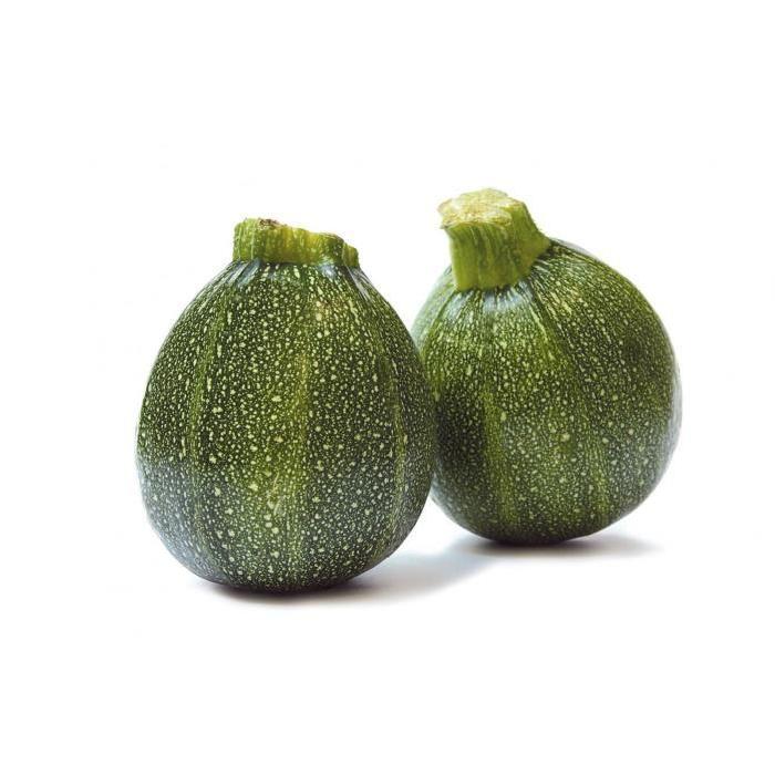 Courgette Ronde - Comptoirprimeur